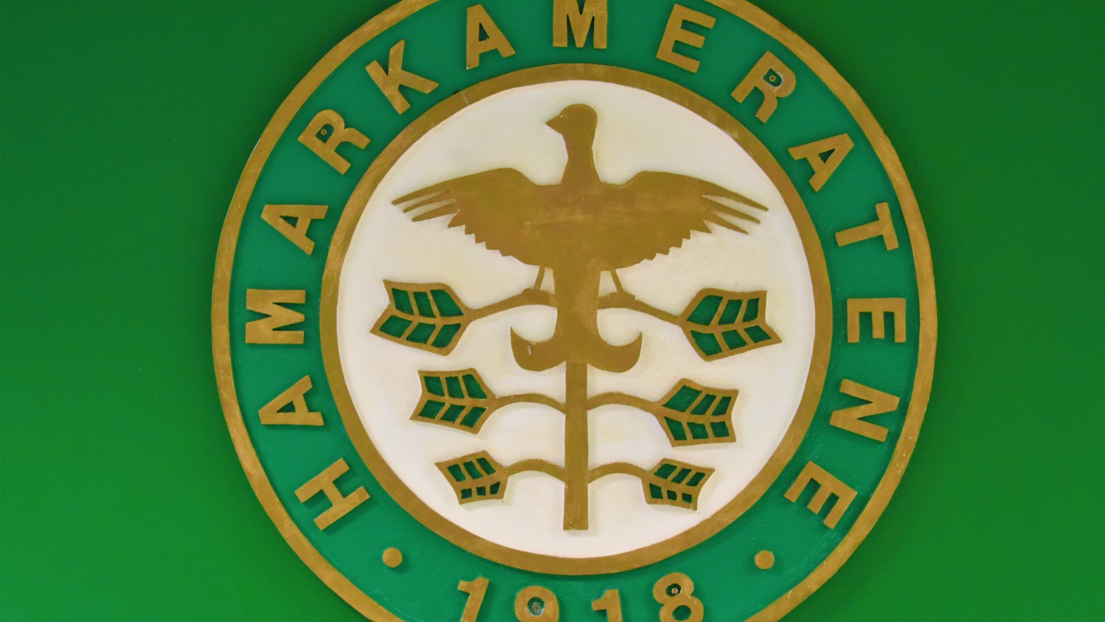 Årsmøtet 2022 for Allianseidrettslaget / HamKam